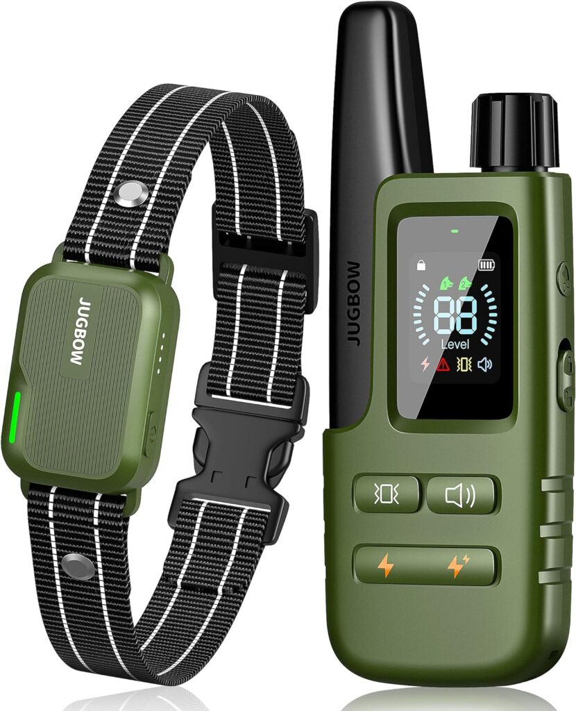 6 Best Shock Collar for Small Dogs